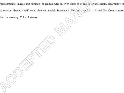 Partial Colon Resection Results In Accumulation Of Granulocytes In The Download Scientific