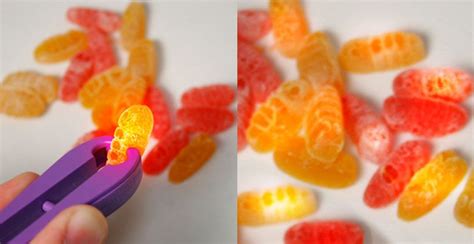 Lightning Bugs Illuminated Gummy Candy Gummy Candy Bug Candy