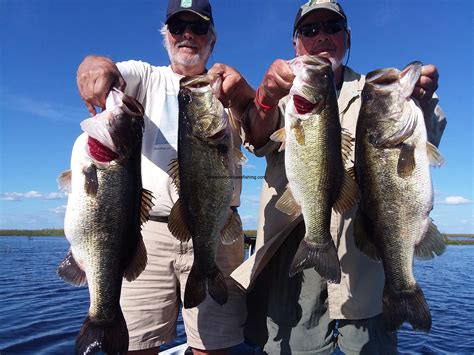 Lake Okeechobee Bass Fishing Guides And Charters Voted 1 On The Lake