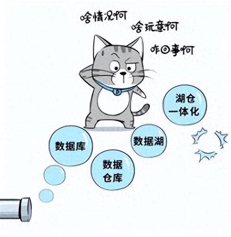 数据仓库、数据湖、湖仓一体都是什么意思，究竟有什么区别？ 知乎