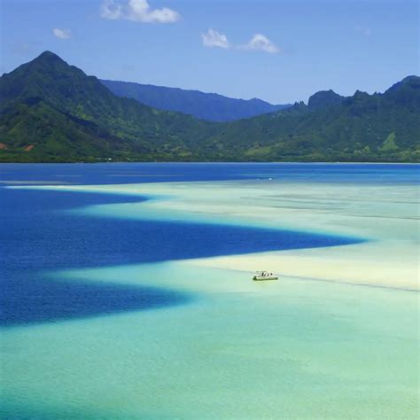 Captain Bruce The Kaneohe Sandbar Tours And Private Boat Rentals