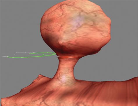 Figure 2 From A Survey Of Interactive Mesh Cutting Techniques And A New