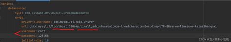 Pom Plugin Csdn
