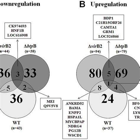 A Ichthyosis Linearis Circumflexa Over The Trunk Download