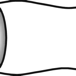 Schematic View Of The Waveguide Calculation Model Download Scientific Diagram