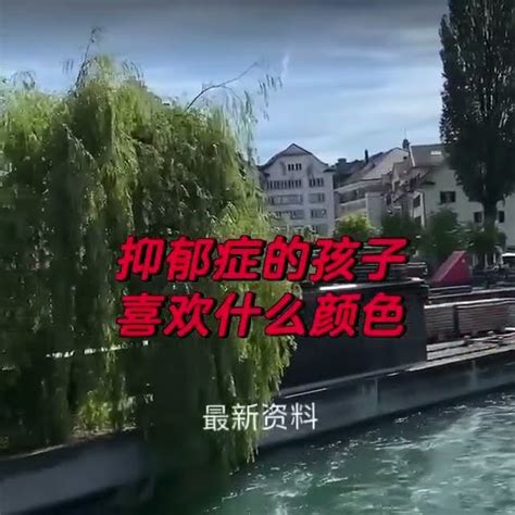 什么颜色？抑郁症的孩子斯坦福妈妈家庭教育亲子关系旅游阅读宠物聪明火象星座文学抑郁症电动游戏焦虑症ai公平机器人