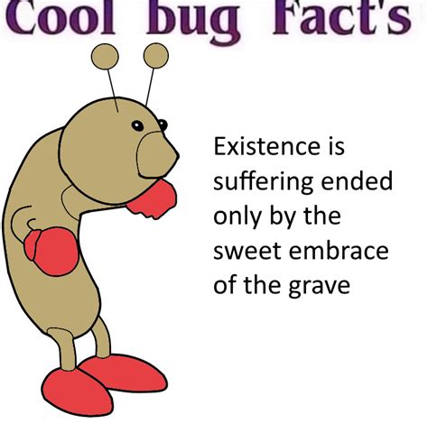 Hd Bug Facts Rcoolbugfacts