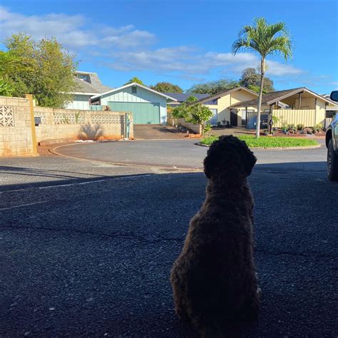 Anthony Buhain Iheart