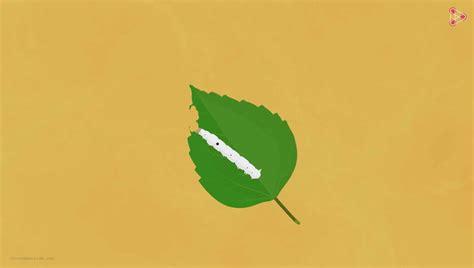 知识视界产学研 视频播放