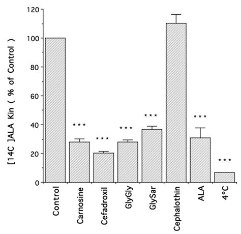 Pept2 Mediated Transport Of 5 Aminolevulinic Acid And Carnosine In