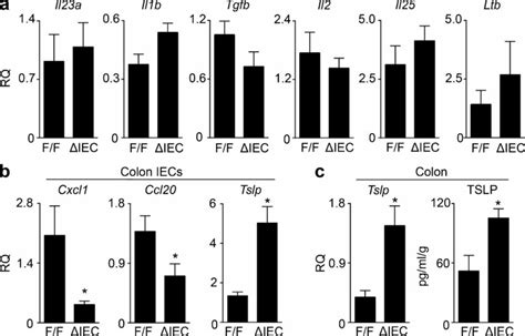 IKKαΔIEC mice exhibit dysregulated TSLP expression by colonic IECs