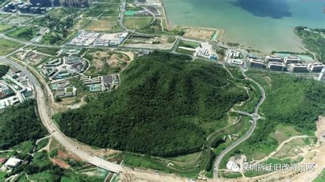 设计费5200万！深圳海洋大学方案设计及初步设计招标腾讯新闻