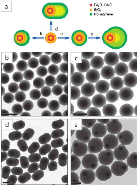A Schematics For Various Shaped Core Shell Particles And Sem Images