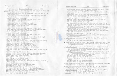 Foraminifera The World Foraminifera Database