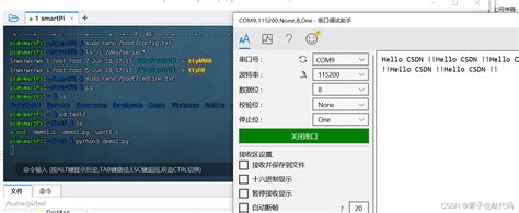 【树莓派4b串口通信之wiringpi库】小白踩坑成功出逃树莓派4串口配置 Csdn博客