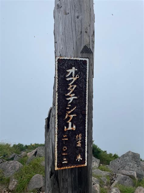 何だかな🤔オプタテシケ山 Nonさんの十勝岳・富良野岳・美瑛岳の活動データ Yamap ヤマップ