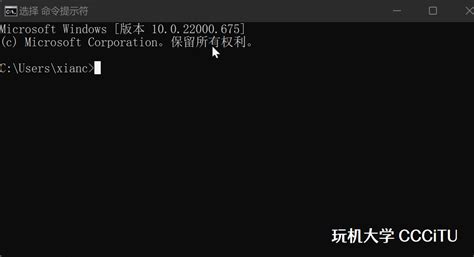 使用 Ping 测试网络延迟和丢包率 Cccitu 玩机大学 使用 Ping 测试网络延迟和丢包率 Cccitu 玩机大学