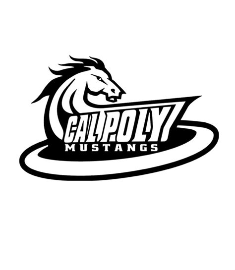 Cal Poly Open 2024 Cal Poly Disc Golf Club · Disc Golf Scene