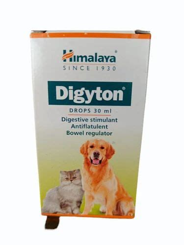 Digyton Drop 30ml At ₹ 135piece Nagpur Id 2856928664430