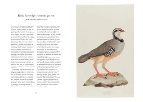 Ferdinand Bauers Remarkable Birds Nokomis