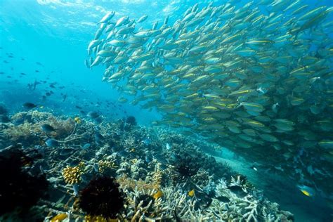 How To Visit The Secret Gilis Lombok Gili Kedis Gili Nanggu And Gili