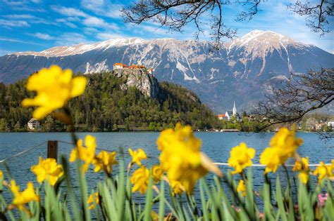 Spring Has Finally Arrived To The Lake Bled Area Fine Stay Slovenia