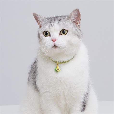 Badu Bg Котешка яка Масивна украса за котешка шия Малка котка Бижута