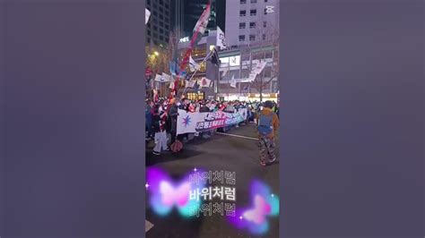 바위처럼 윤석열 파면행진 시청역앞 범시민대행진 깃발 응원봉 Youtube