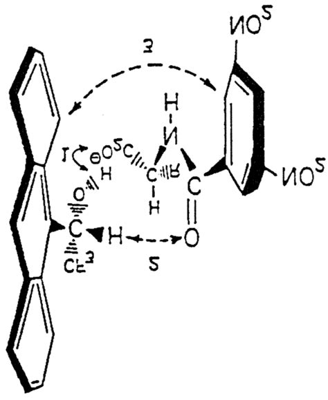 Chiral Recognition Model Showing The More Stable Diastereomeric Solvate