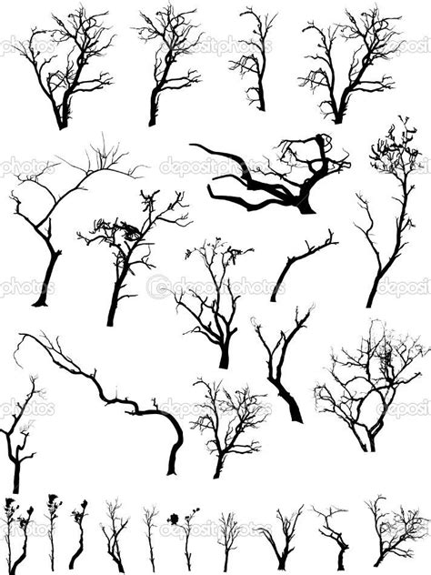 Cherry Blossom Tree Branches Dying