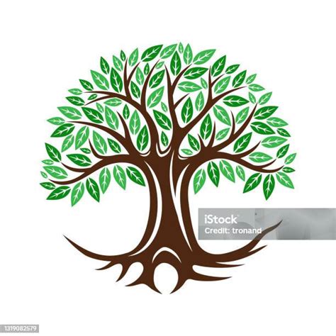 圓樹圖示與樹葉和根向量圖形及更多樹圖片 樹 剪貼畫 圓形 Istock