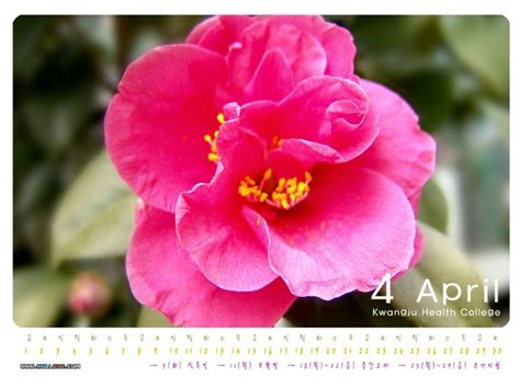 X April Calendar