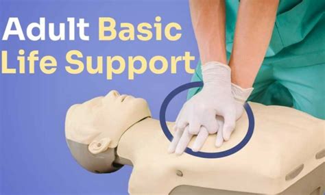 Bls Basics The Essential Steps To Save A Life Red Wing News