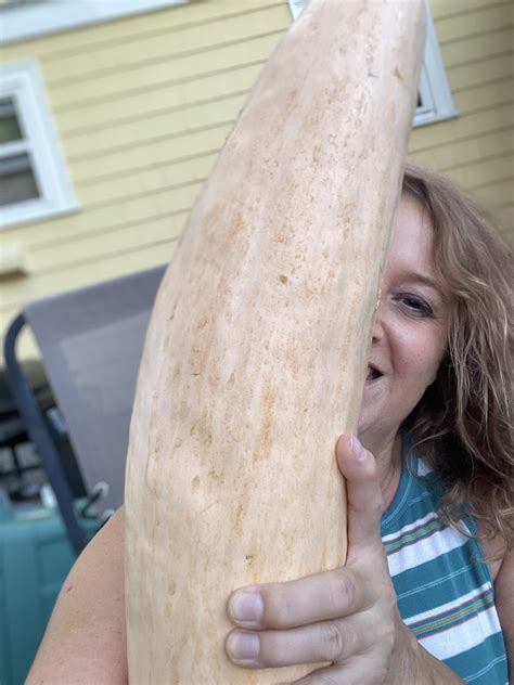 My First Candy Roaster Rvegetablegardening