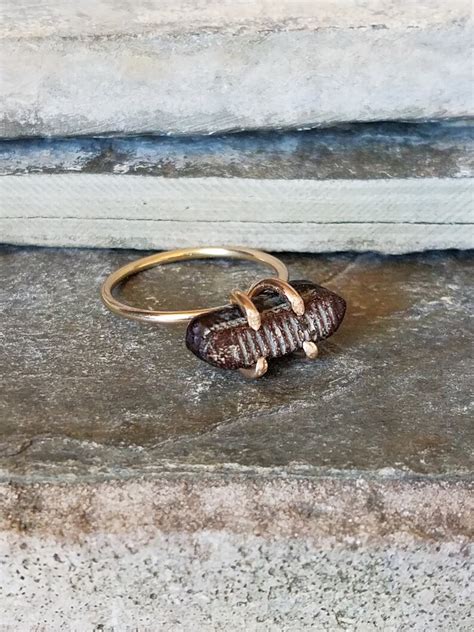 Fossil Ring Stingray Tooth Jawbone Ring Mens Rock Etsy