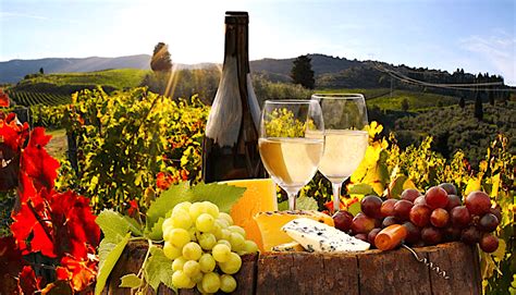 Festivales De Vinos Y Quesos En México Medialab