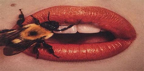 What Is Melissophilia Or Bee Sex And Why Are People Having Sex With Bees Yourtango