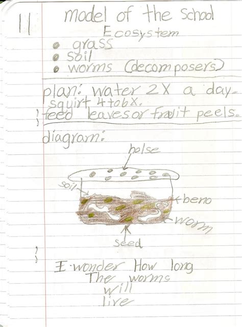 Science Gal Building Models In Your Classroom