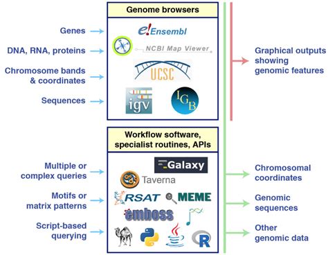 Interrogating The Genome Approaches And Tools For Accessing Genomic Databases Atlas Of Science