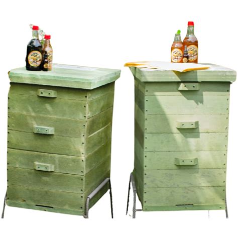 Colmena Ecológica Langstroth Encuentro Agropecuario