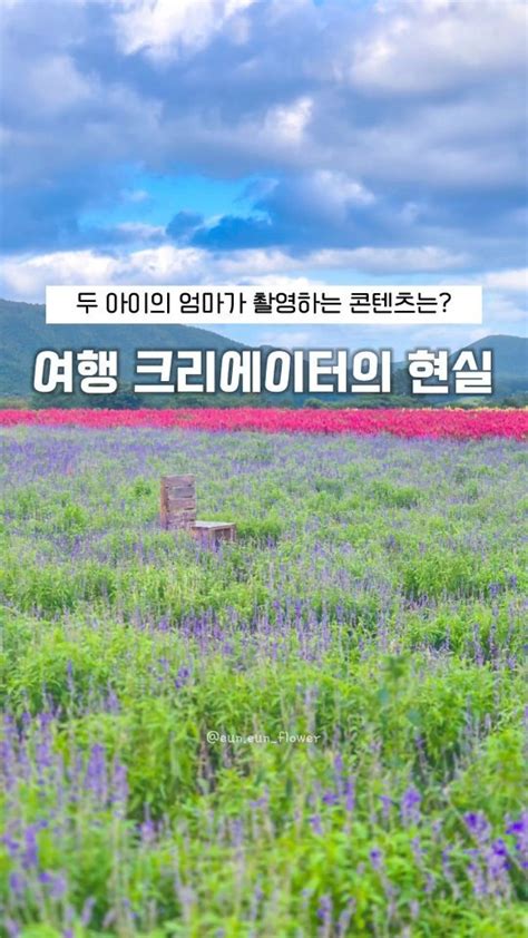 대한민국 꽃여행 전문 은은꽃 🤳 장소는 캡션에 있어요 🌊 겨울여행 여행코스 어제 소개 드린 동백꽃 스팟과 함께