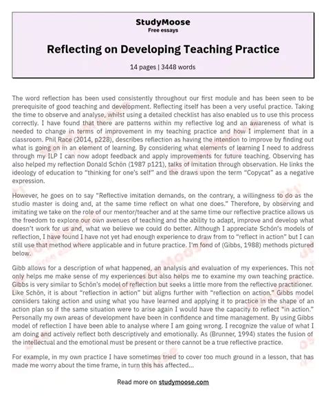 Reflecting On Developing Teaching Practice Free Essay Example