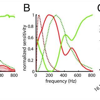 Frequency Tuning A Comparison Between Temporal Tuning Of The Download Scientific Diagram