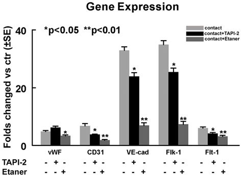 Inhibition Of Endogenous Tace Or Tnf Alpha Attenuated Endothelial