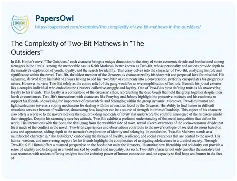 The Complexity Of Two Bit Mathews In The Outsiders Free Essay Example 483 Words