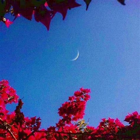 Stream Forever Young Ft Tom Frane By Avxry Listen Online For Free On Soundcloud