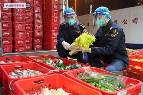 今年以来内地供港果蔬突破10万吨，占香港本地供应近九成