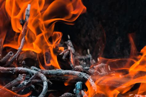 Latar Belakang Api Abstrak Api Membakar Brushwood Foto Stok Unduh