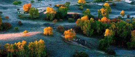 蒋勋：不是所有人都能看见美感觉