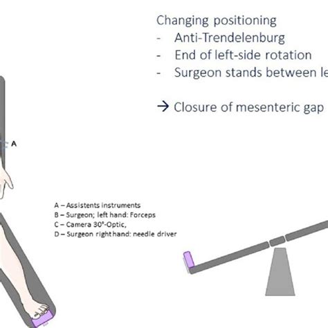 Exploration Of The Alimentary And Biliopancreatic Limb Closure Of The Download Scientific